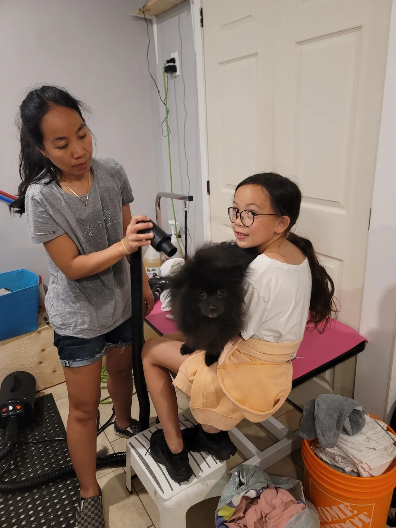 Family Dog Grooming in Hamilton | family-run groomer hamilton